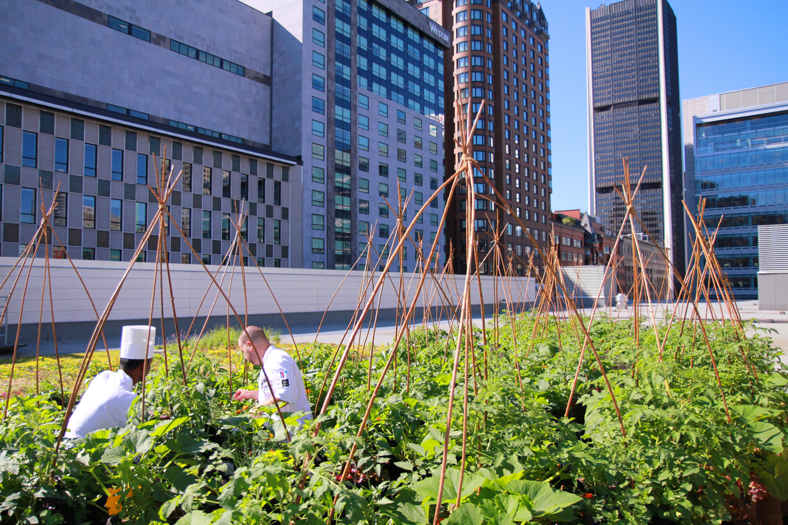 How to Design a Successful Sustainable Event - Boardroom