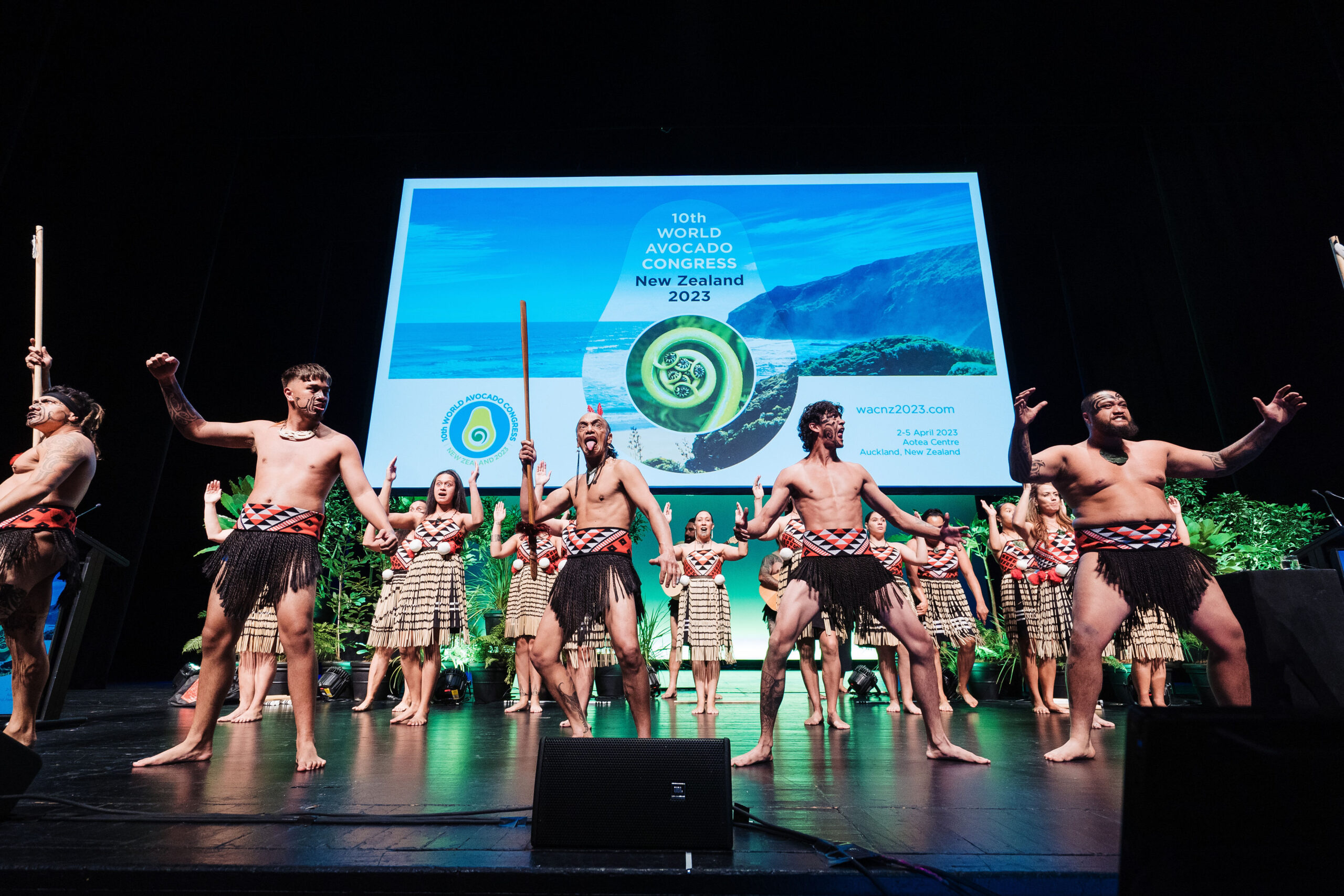 Auckland Showcases AI Excellence at Global Conference - Boardroom